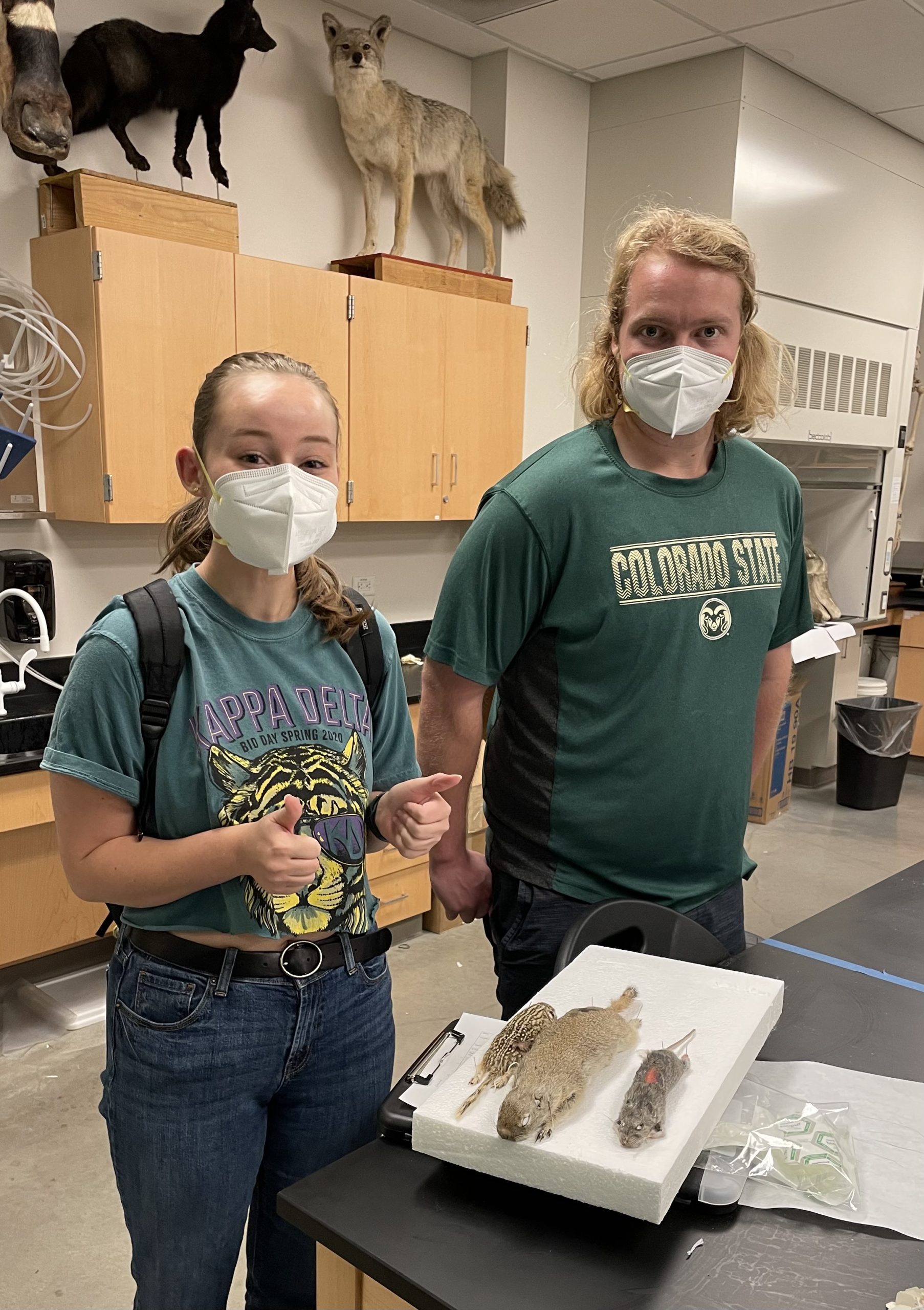 Department of Biology | CSU – Department of Biology at Colorado State ...